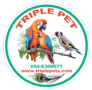 גידול תוכים : מדריך מקיף למגדלים מתחילים ומנוסים | תוכים | triplepets.com